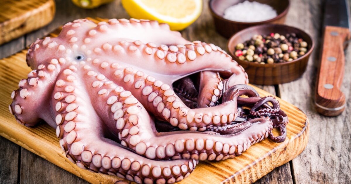 Wholesale Octopus, Squid and Cuttlefish - Townview